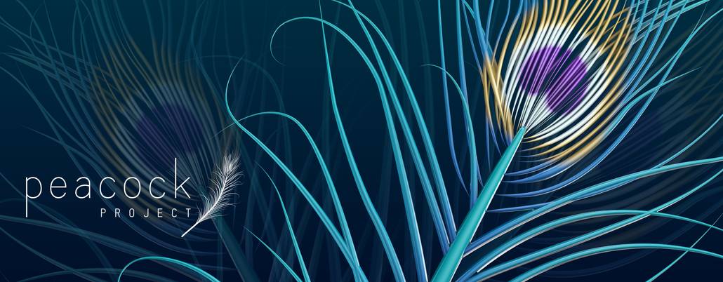 首页 The Peacock Project